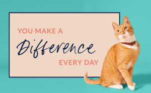 Online Greeting Cards: Create Custom eCards for Any Occasion ...